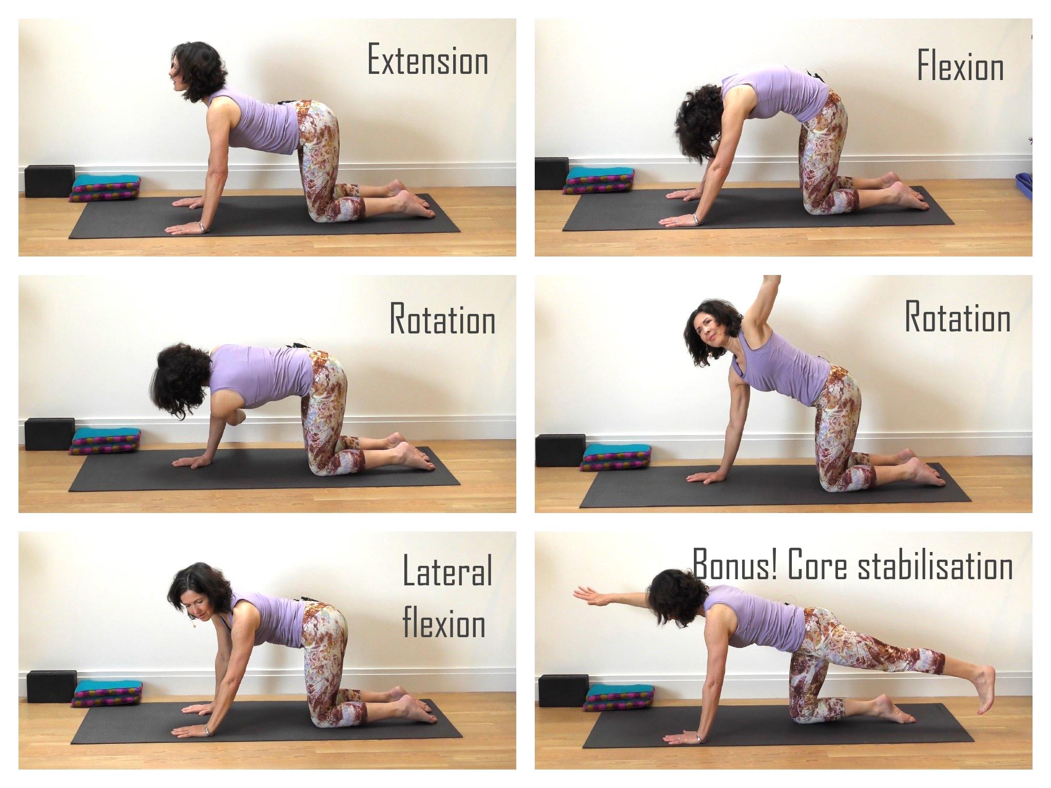 Spinal Mobility in Pilates: Why It Matters and How to Teach It – BODY ...